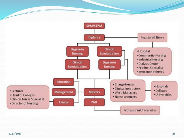 Carrier pathway in malaysia | PPTX