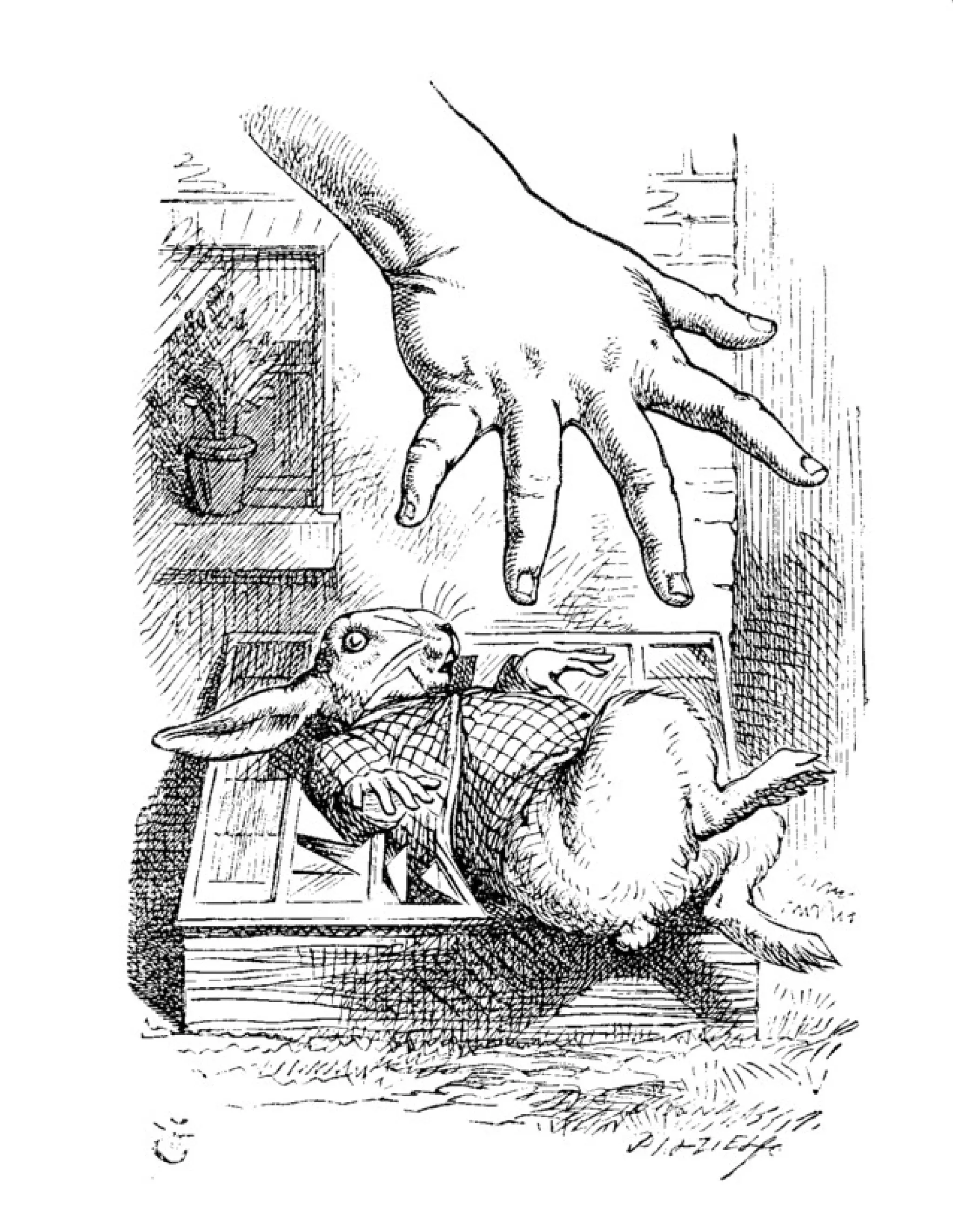 Carroll alice in wonderland coloring book-dover (1972) | PDF