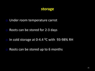 Cultivation of carrot | PPTX