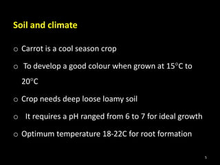 Cultivation of carrot | PPTX