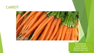 Carrot Production Technology | PPTX