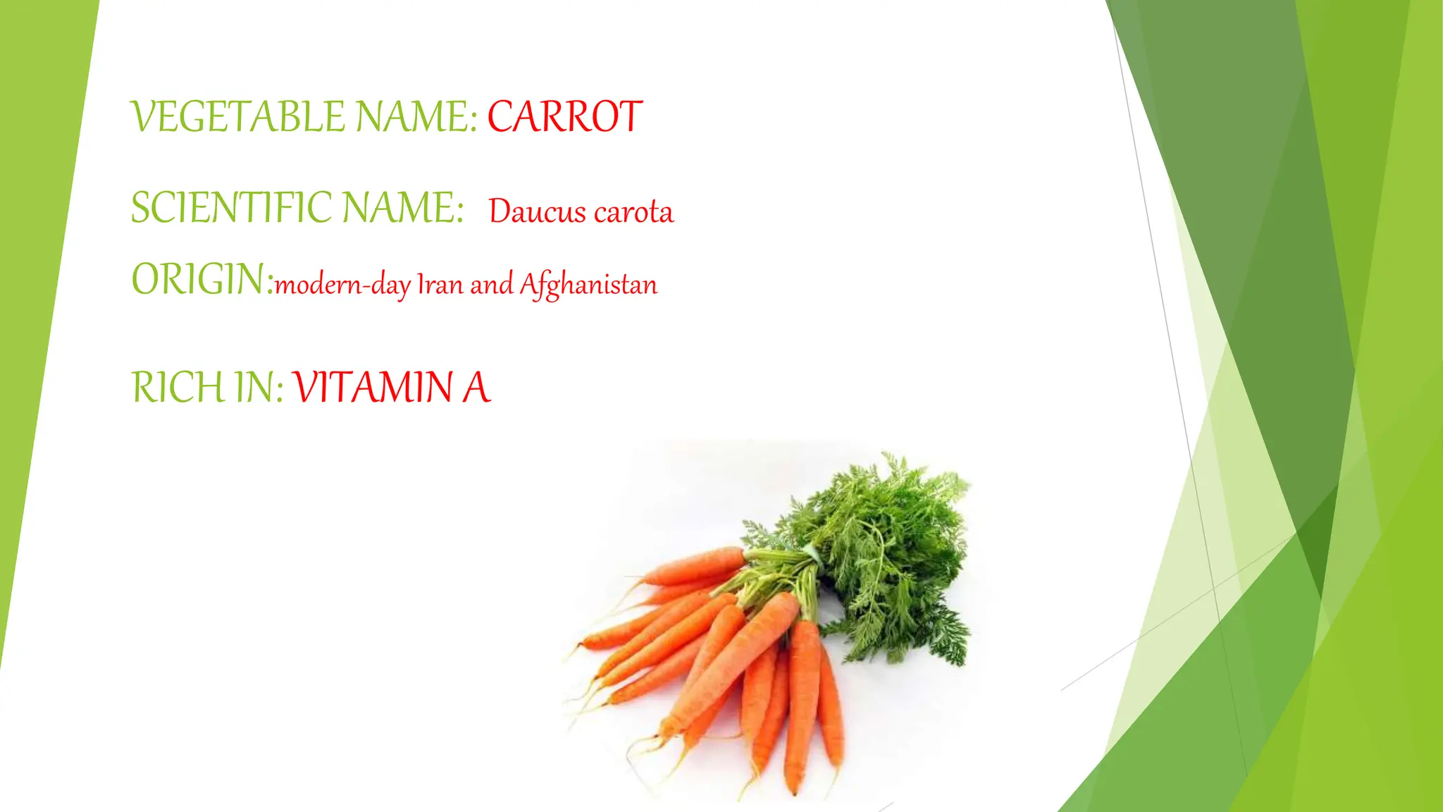 carrot importance and use of carrot .pptx