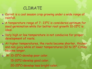 Carrot cultivation practices in Odisha | PPTX