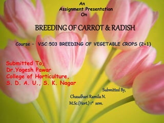 Carrot and radish | PPTX | Agriculture | Industries