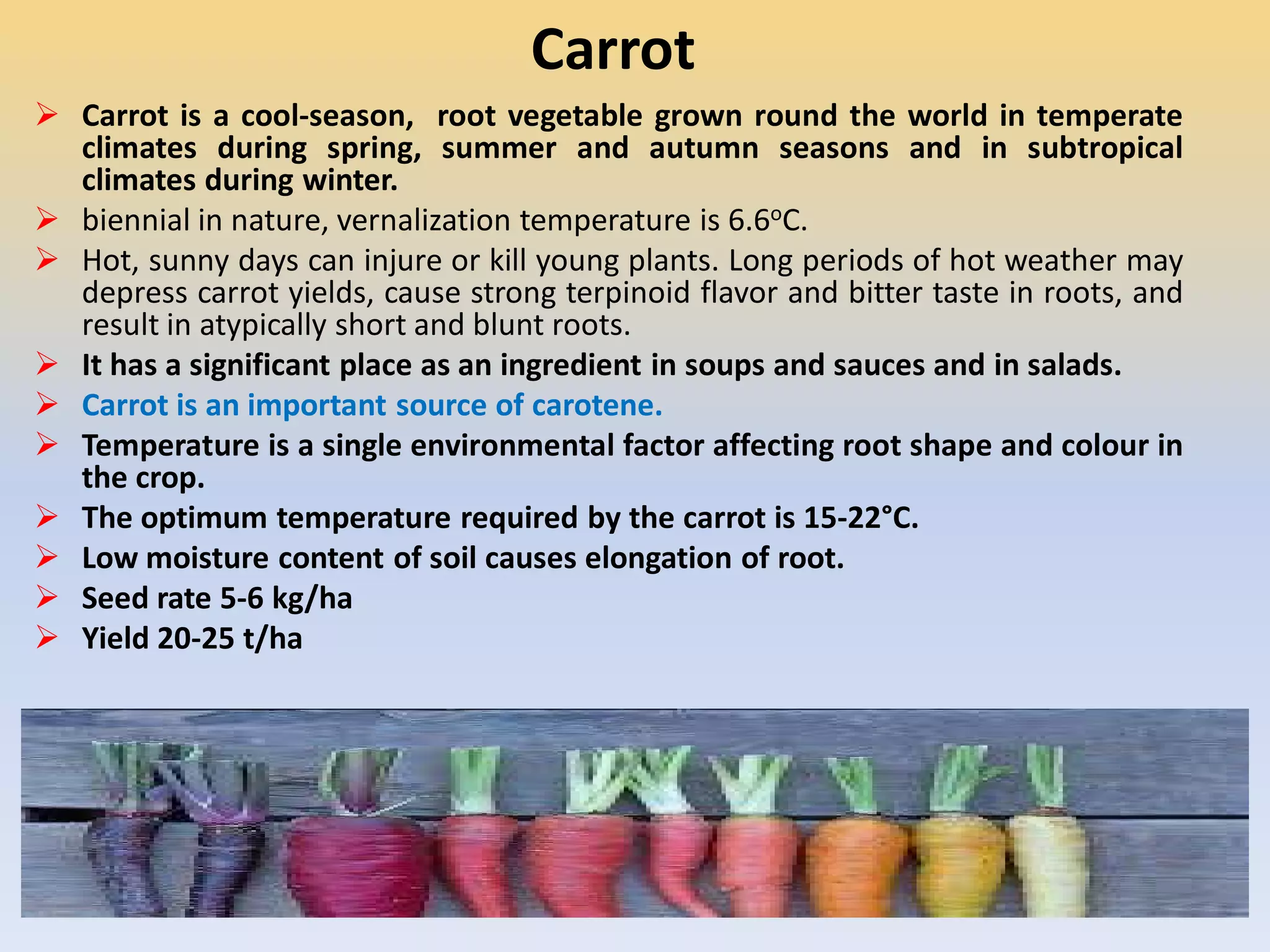 Carrot breeding (2) | PDF