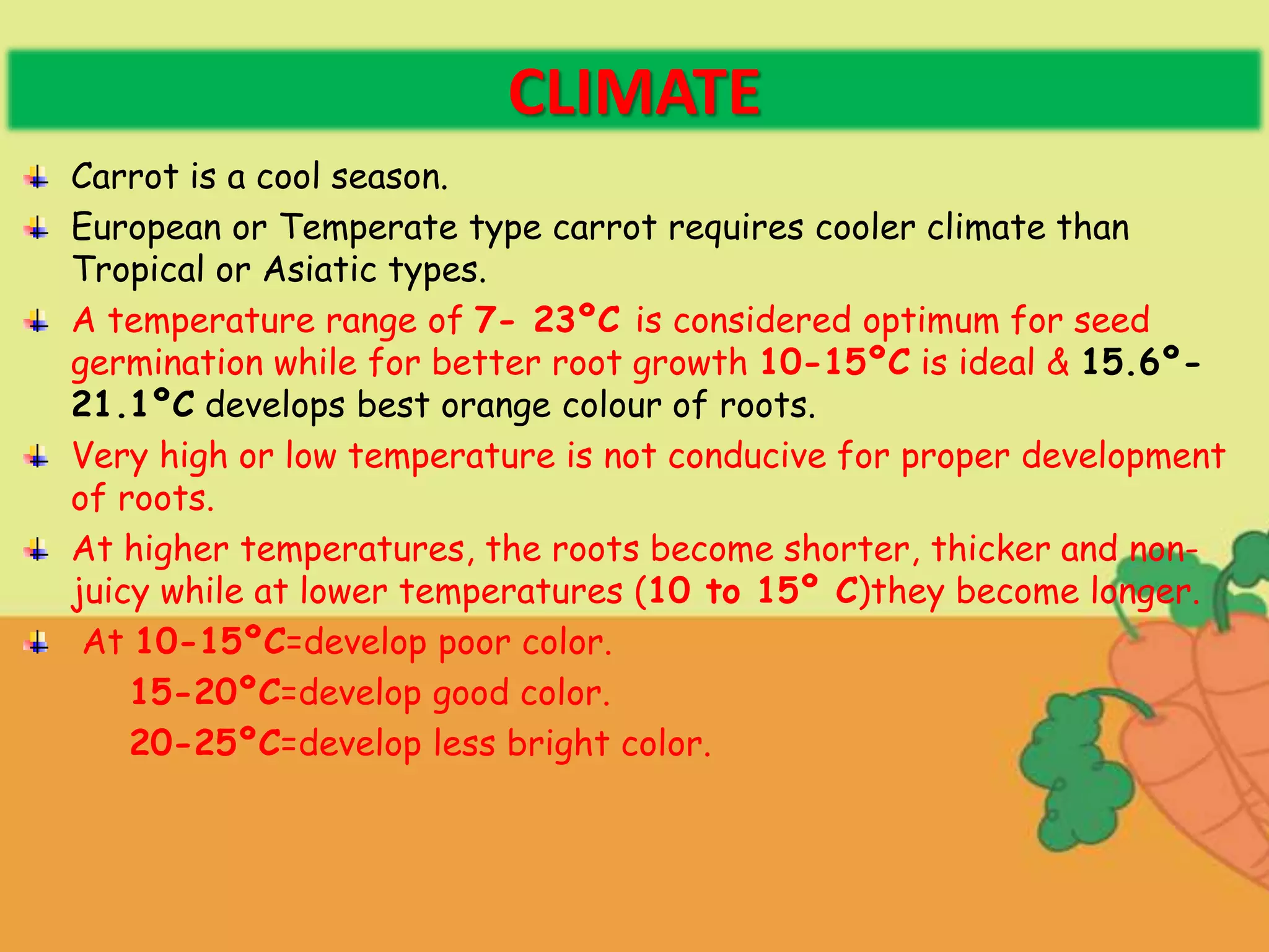 seed production of Carrot (CSK HPKV) harmanjeet singh | PPTX