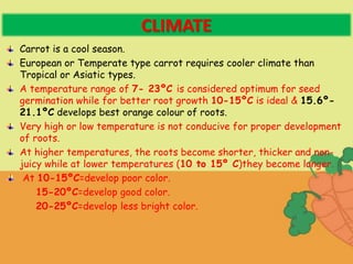 seed production of Carrot (CSK HPKV) harmanjeet singh | PPTX