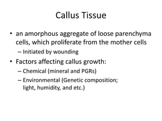 Carrot callus formation | PPTX