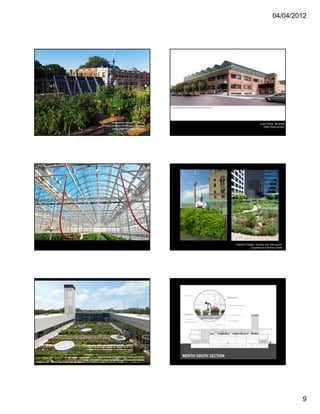 Carrot city: Architecture for Urban Agriculture | PDF