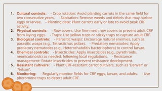 Carrot pest entomology horticulture .pptx