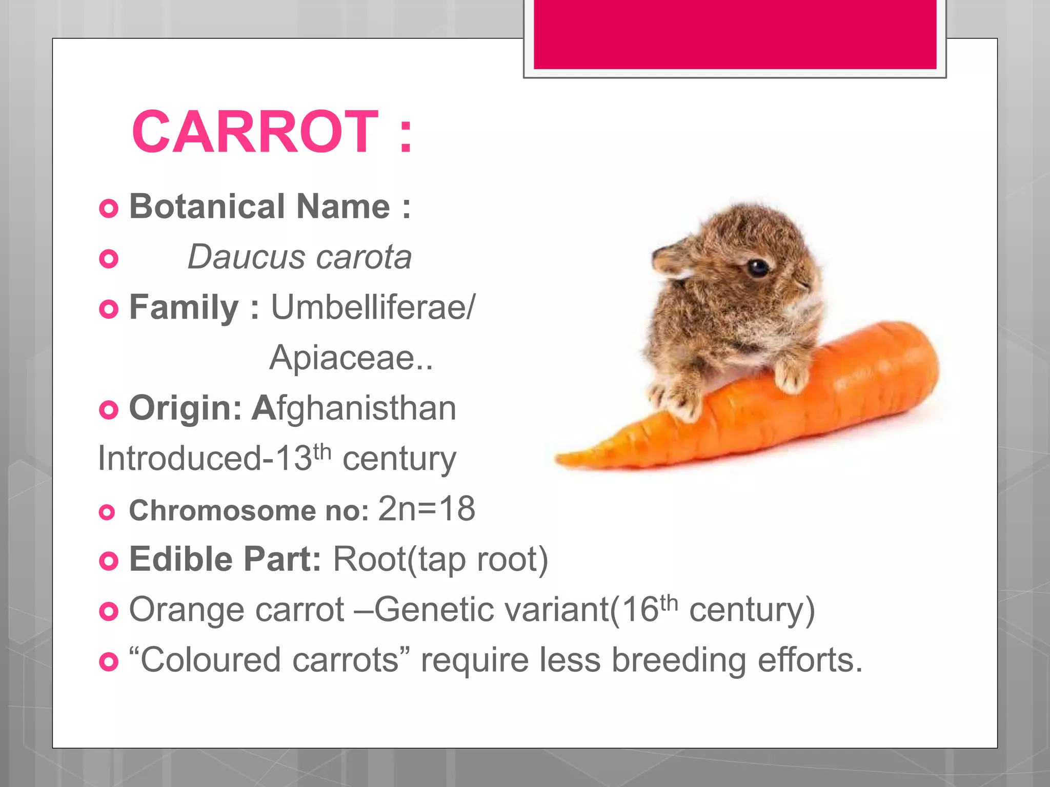 Carrot production technology | PPTX