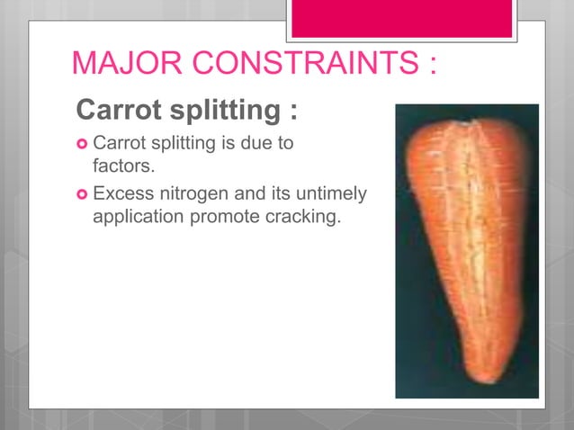 Carrot production technology | PPTX | Agriculture | Industries
