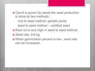 Carrot production technology | PPTX