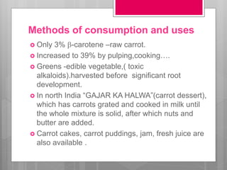 Carrot production technology | PPTX