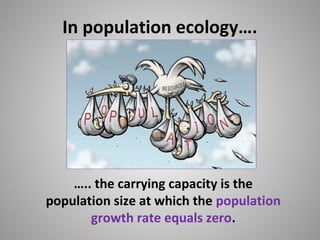 Carrying capacity | PPT
