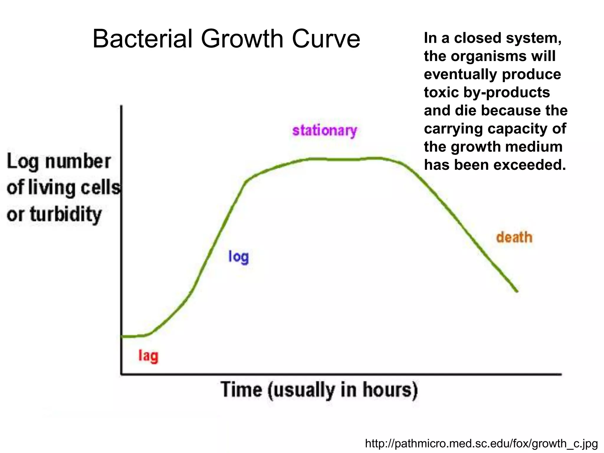 Human Carrying capacity | PPTX