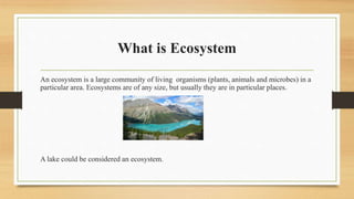 Carrying capacity of ecosystem | PPTX