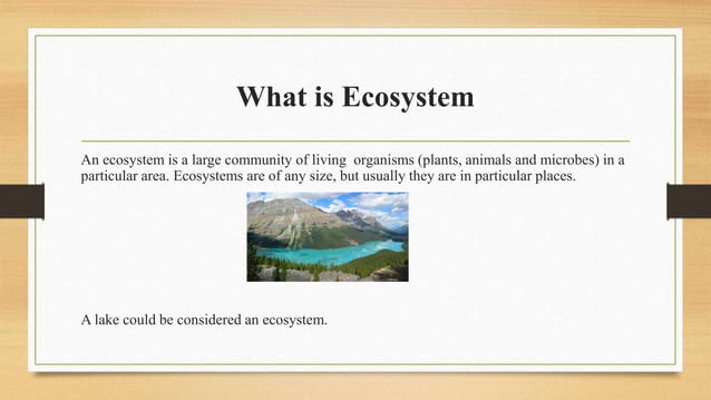 Carrying capacity of ecosystem | PPTX