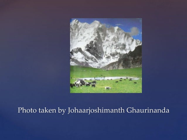 Carson Cook's presentation1 | PPT