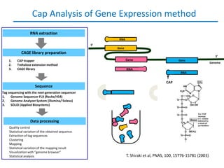 Sequencing the transcriptome reveals complex layers of regulation ...