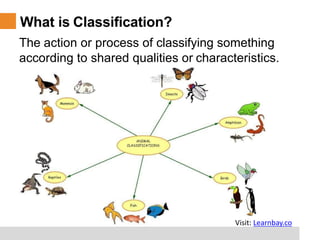 Classification Tree - Cart | PPT
