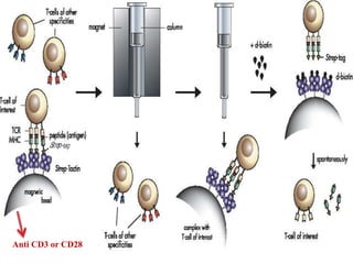 Car T cell | PPTX