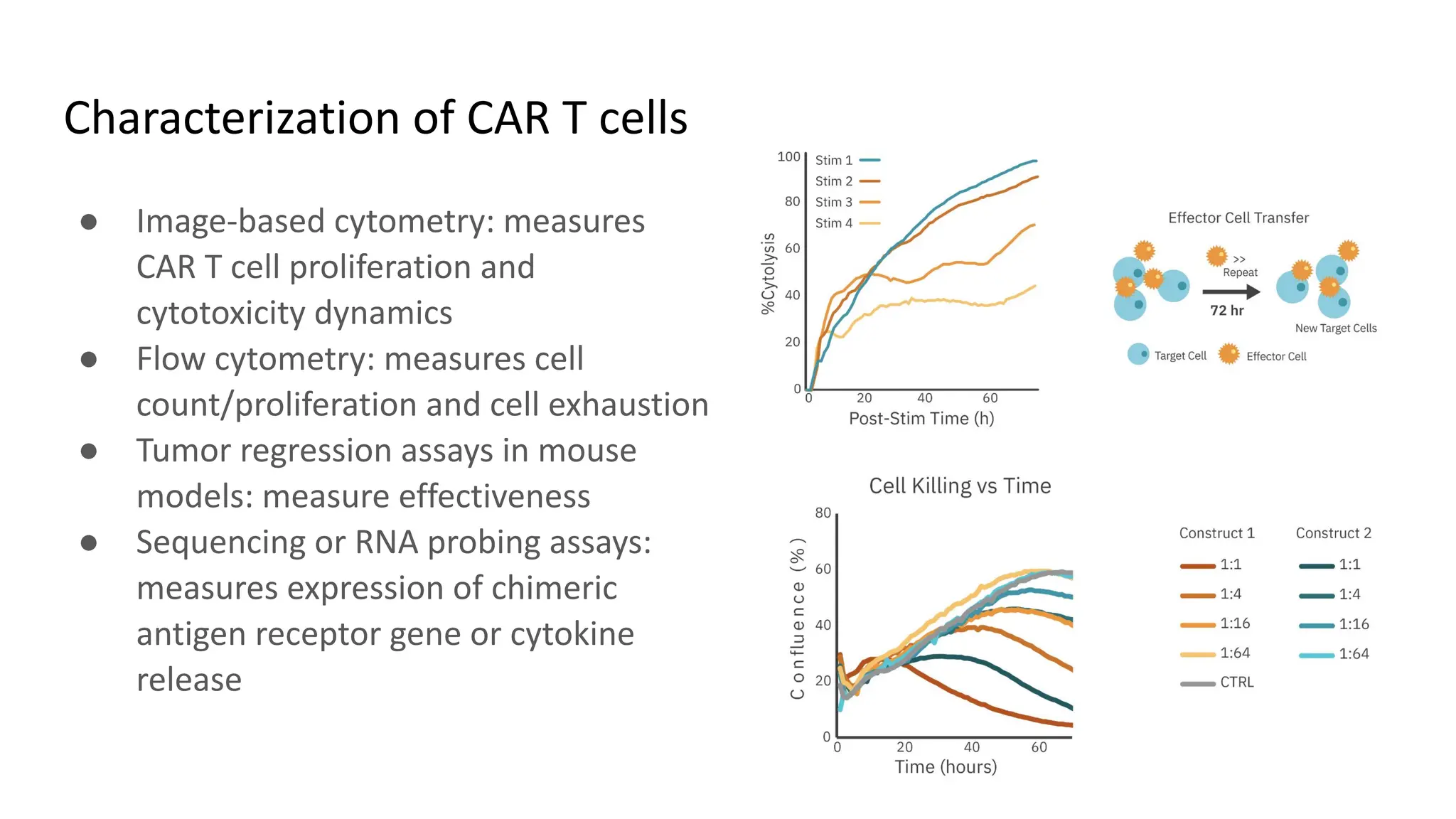 CAR T-Cells - Synthesis and interactions | PDF