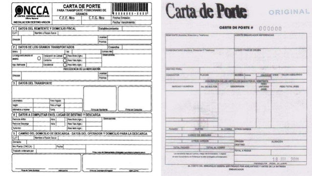 Carta porte-terrestre-01