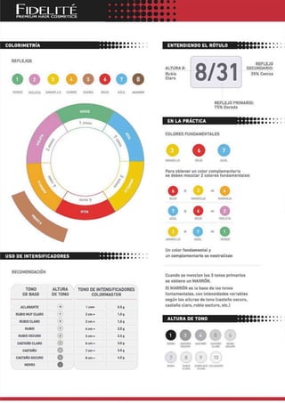 Carta de Colores ColorMaster. (Fidelite) | PDF
