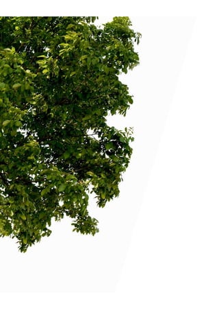 Carta dei valori | PDF