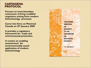 Cartagena protocol and update imperatives for biodiversity conservation ...