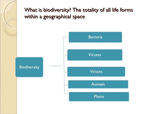 Cartagena protocol and update imperatives for biodiversity conservation ...