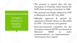 Cartagena Protocol on Biosafety to the Convention on Biological ...