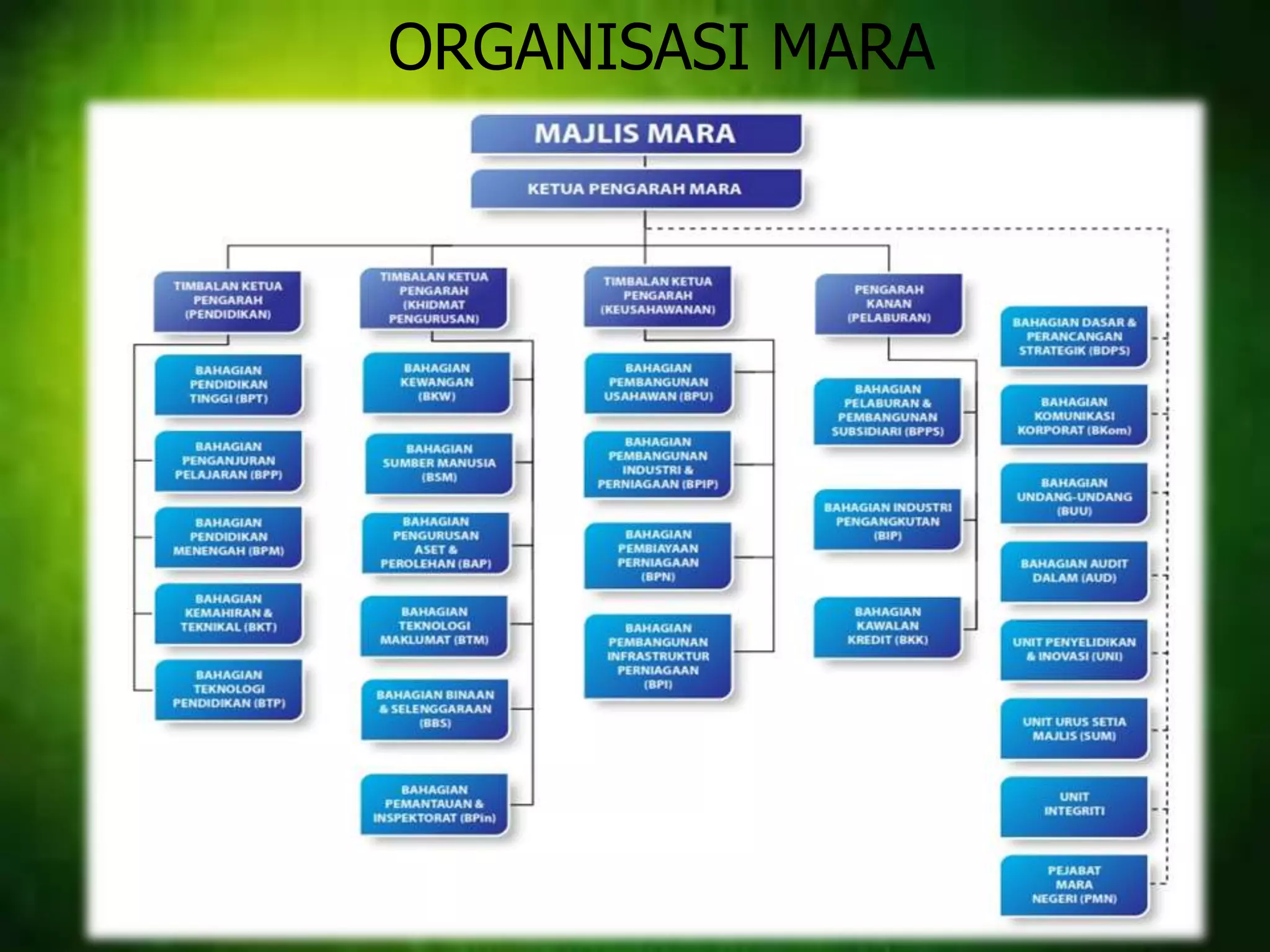 Carta organisasi mara | PPTX