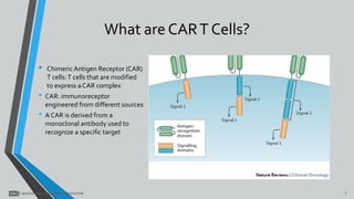 CAR T cell basics -cell therapy working group 11.21.19.pptx