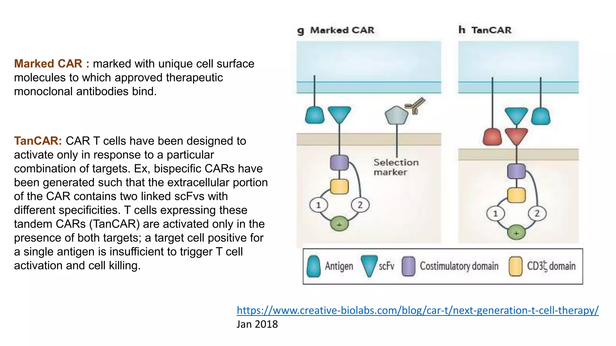 Car tcell therapy | PPTX