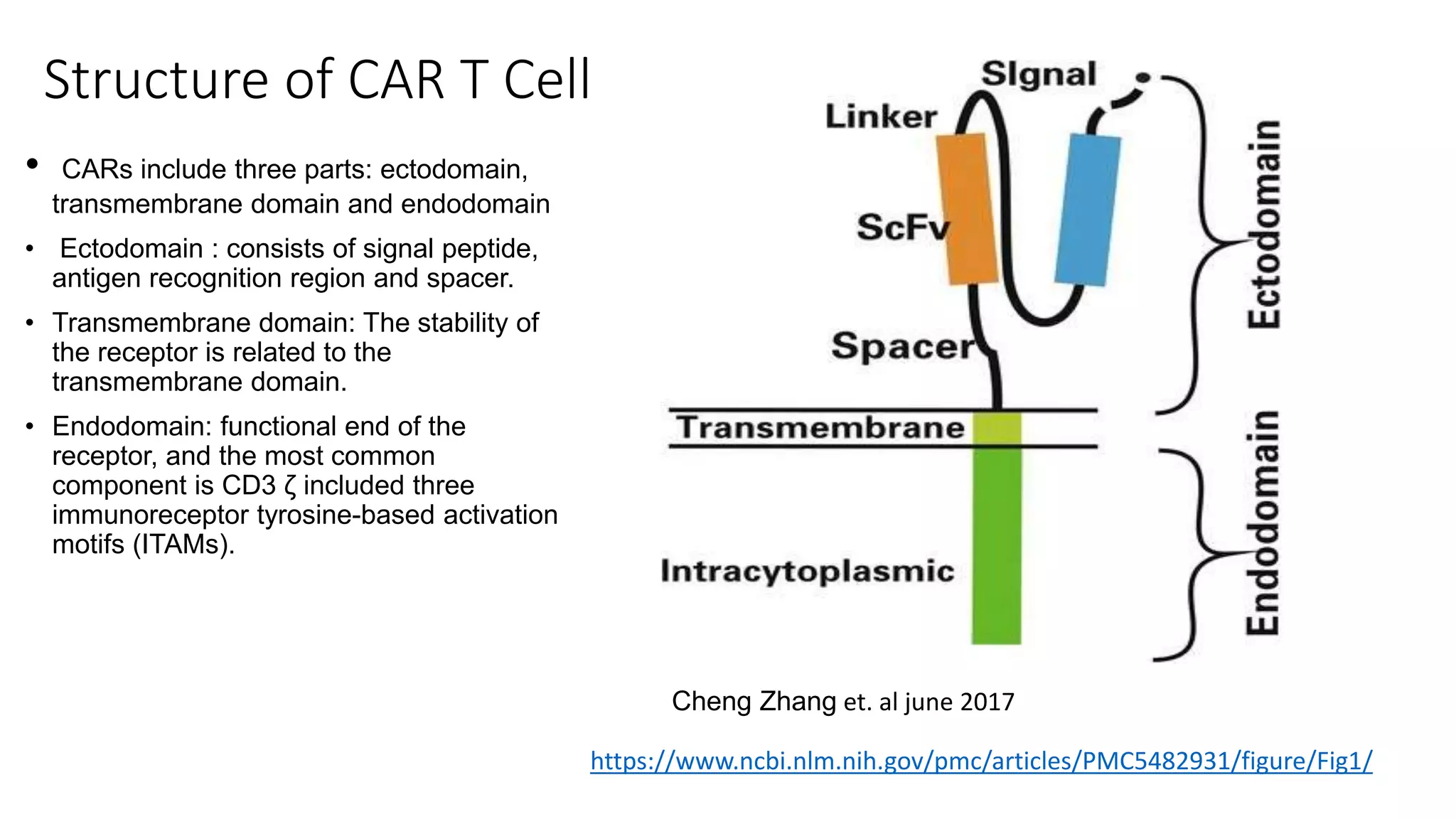 Car tcell therapy | PPTX