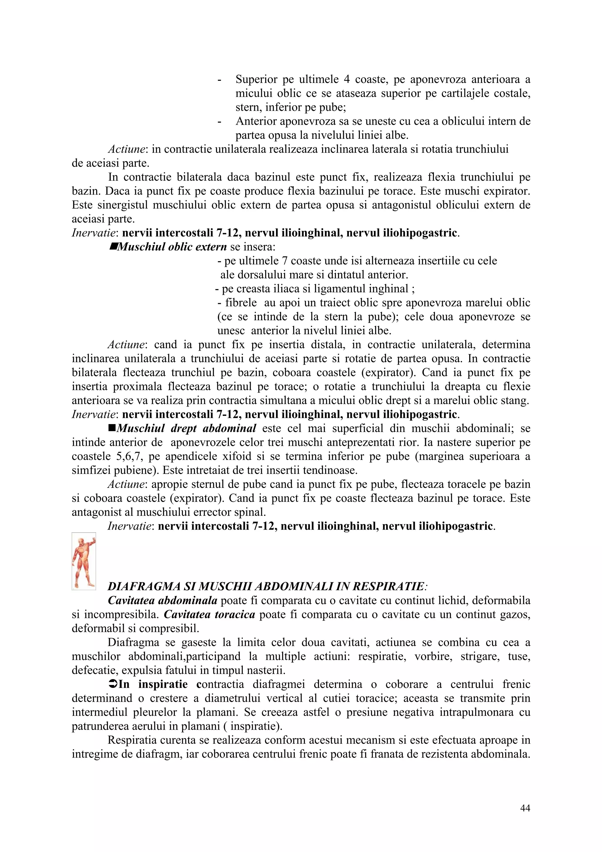 Carte anatomie lp | PDF