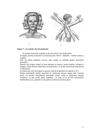 Carte anatomie lp | PDF