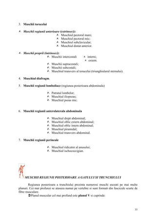 Carte anatomie lp | PDF