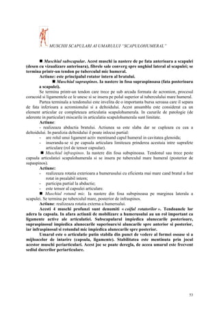 Carte anatomie lp | PDF