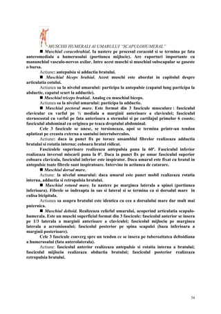 Carte anatomie lp | PDF