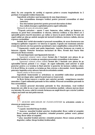 Carte anatomie lp | PDF