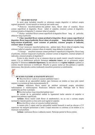 Carte anatomie lp | PDF