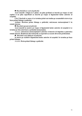 Carte anatomie lp | PDF