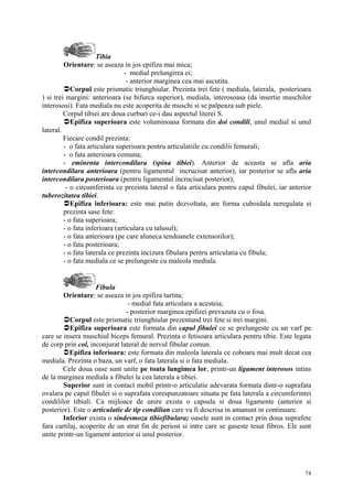 Carte anatomie lp | PDF