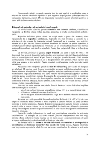 Carte anatomie lp | PDF