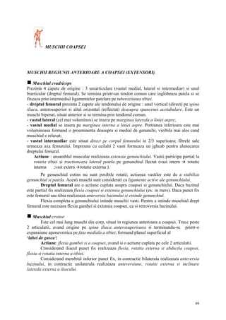 Carte anatomie lp | PDF