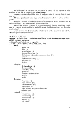 Carte anatomie lp | PDF