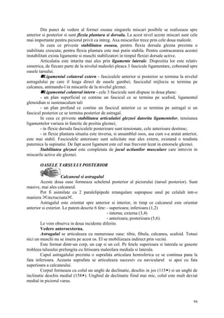 Carte anatomie lp | PDF